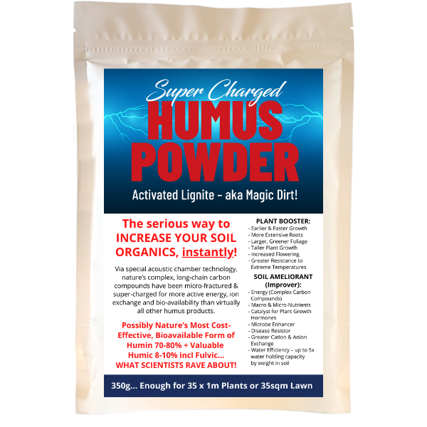 Boost Dahlias with Super-Charged Three Hundred Fifty Grams Humus Powder ...